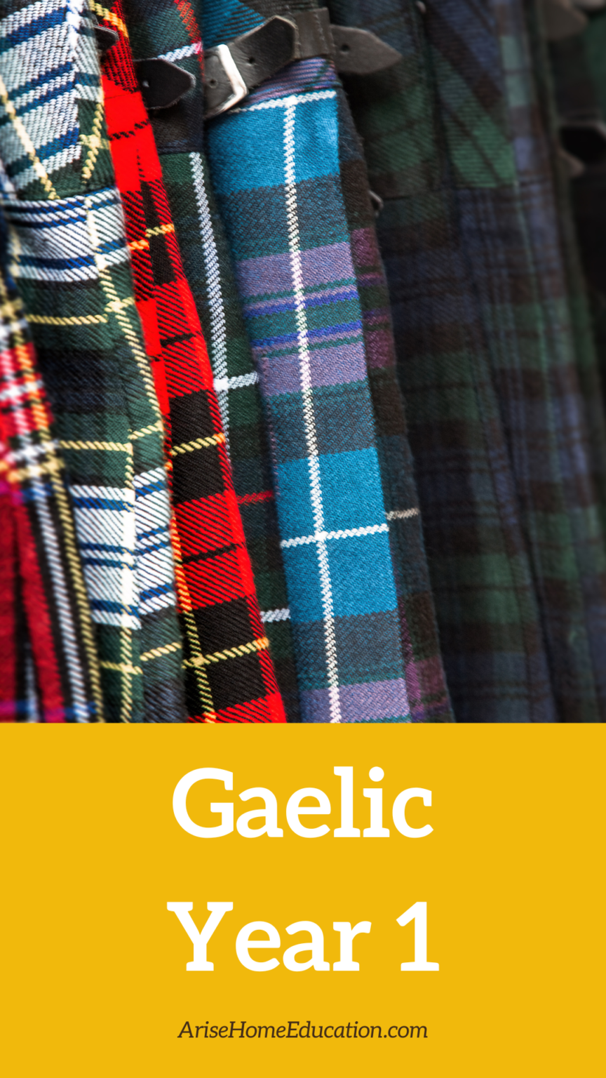 Speak Gaelic: Scottish Gaelic Year 1 - Arise Home Education