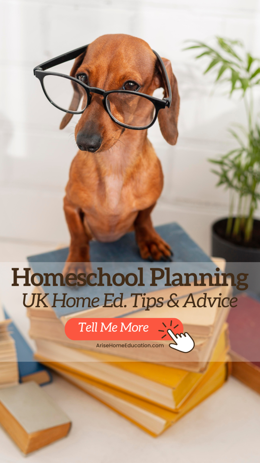Homeschool Planning: UK Home Education Tips & Advice