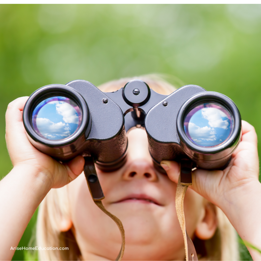 Learning Styles | Tips for The Online Visual Learner - Arise Home Education